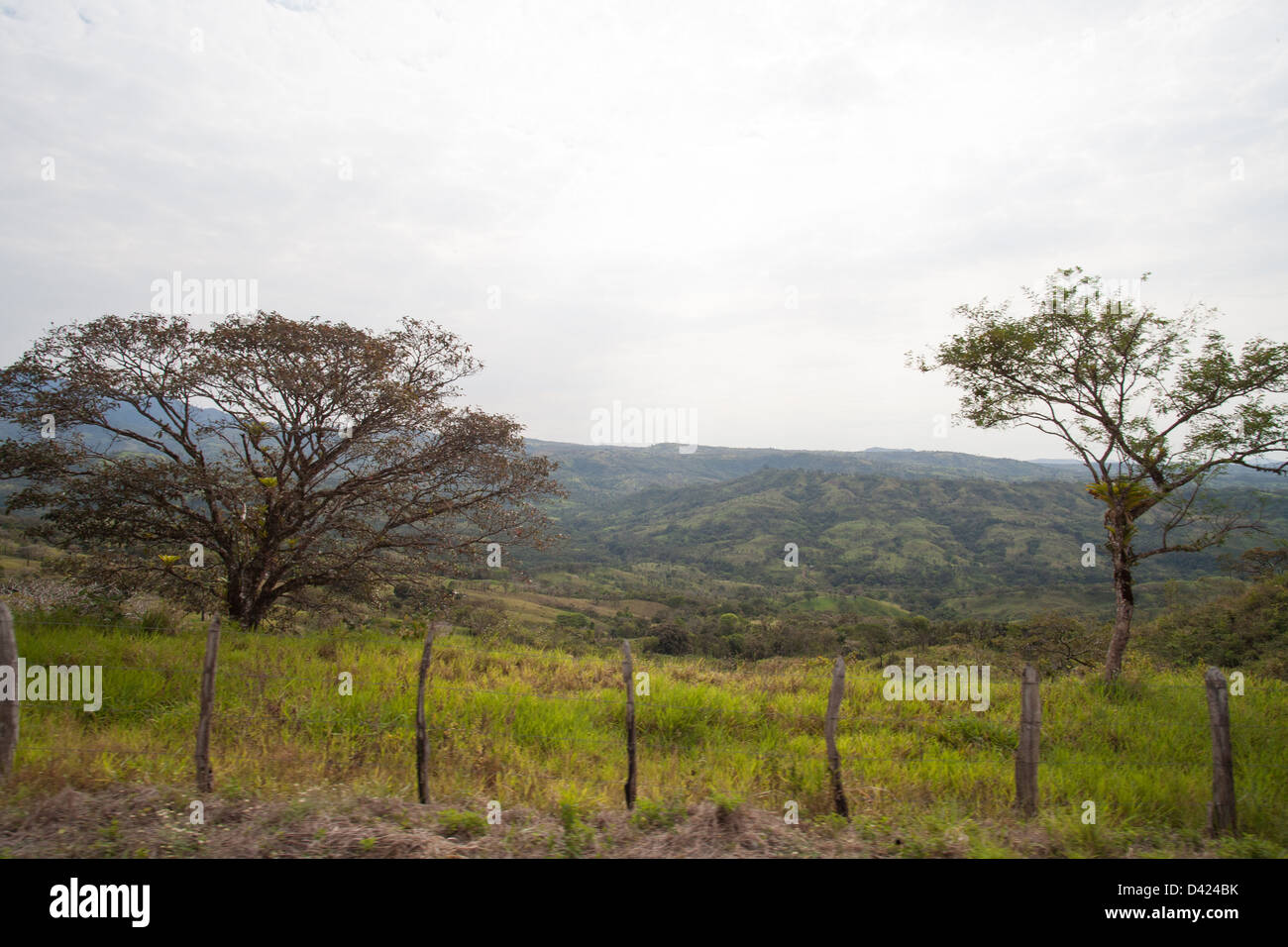 Mountain range in the Continental Divide in Panama with a living fence ...
