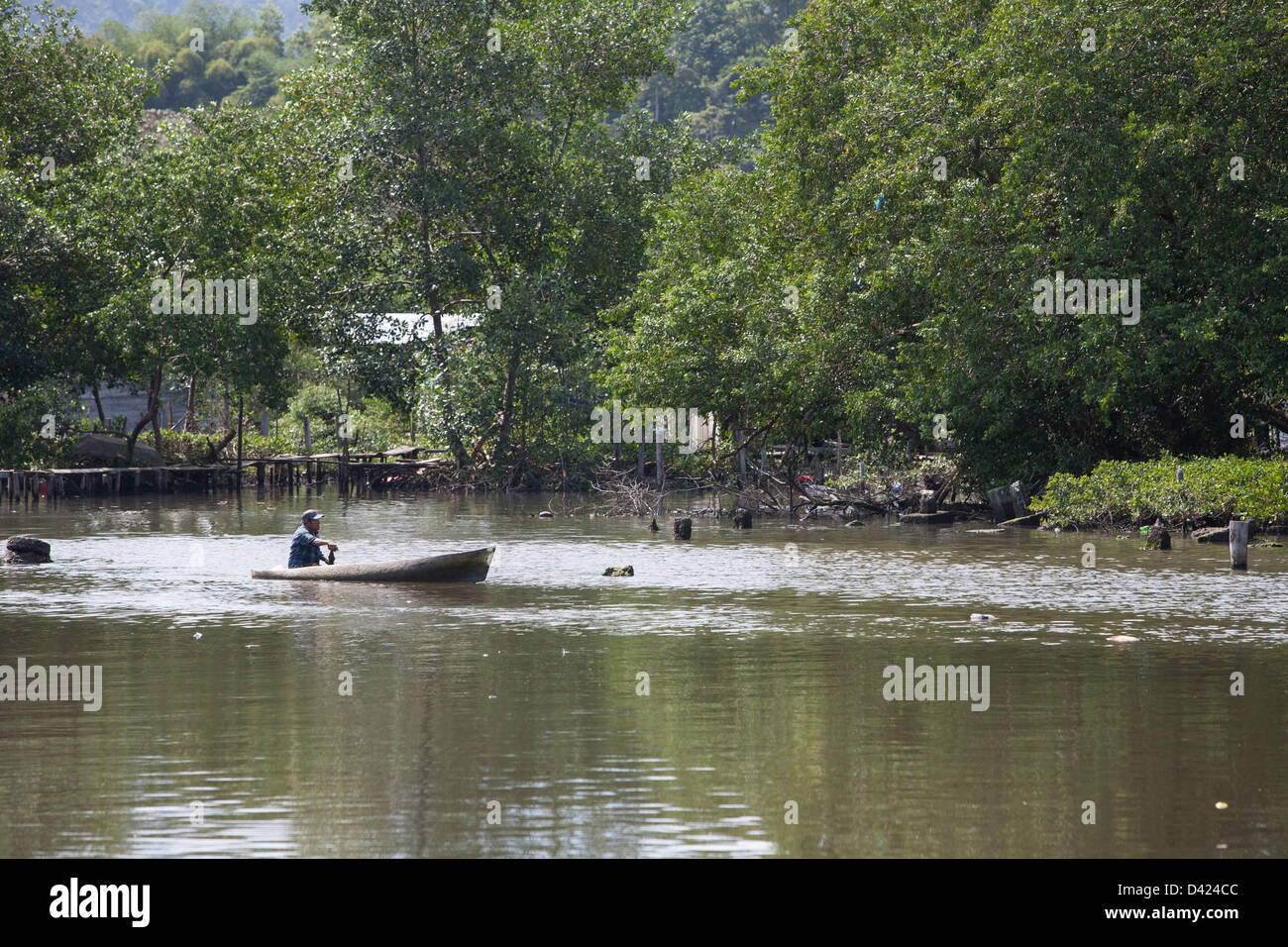 Panamanian man on a traditional canoe / cayuca rowing in the water ...