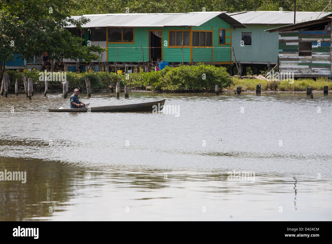 Panamanian man on a traditional canoe / cayuca rowing in the water ...