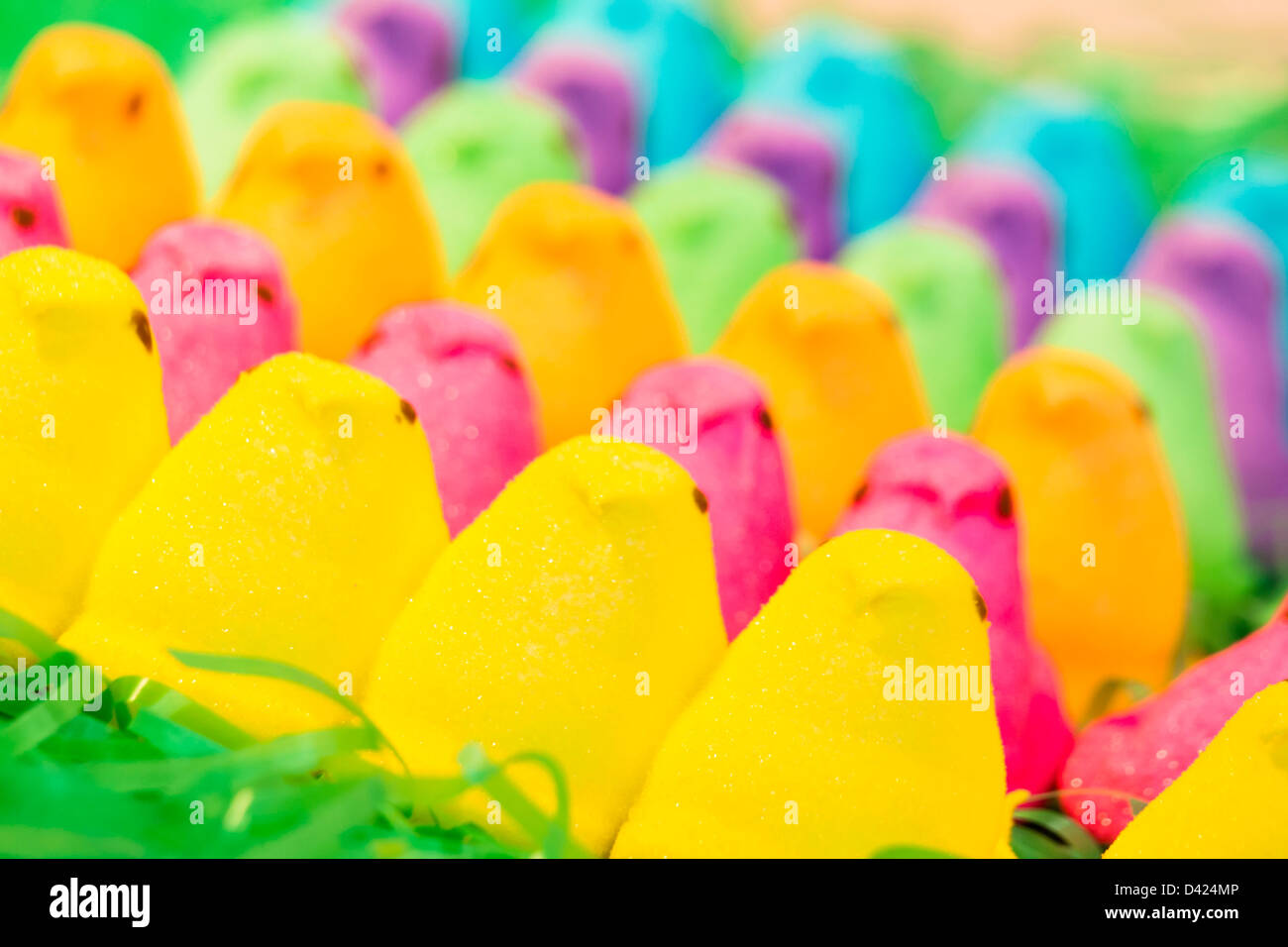 Easter marshmallow chicks in a row Stock Photo - Alamy