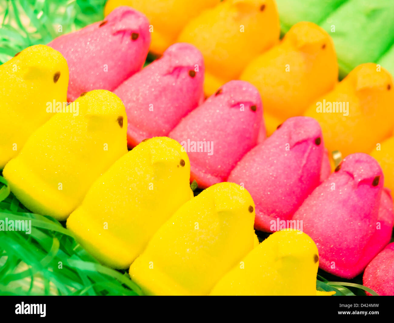 Chicks easter eggs in row hi-res stock photography and images - Alamy