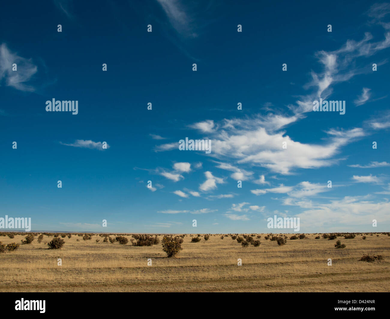 Prairie in Spring. Southern Colorado Stock Photo - Alamy