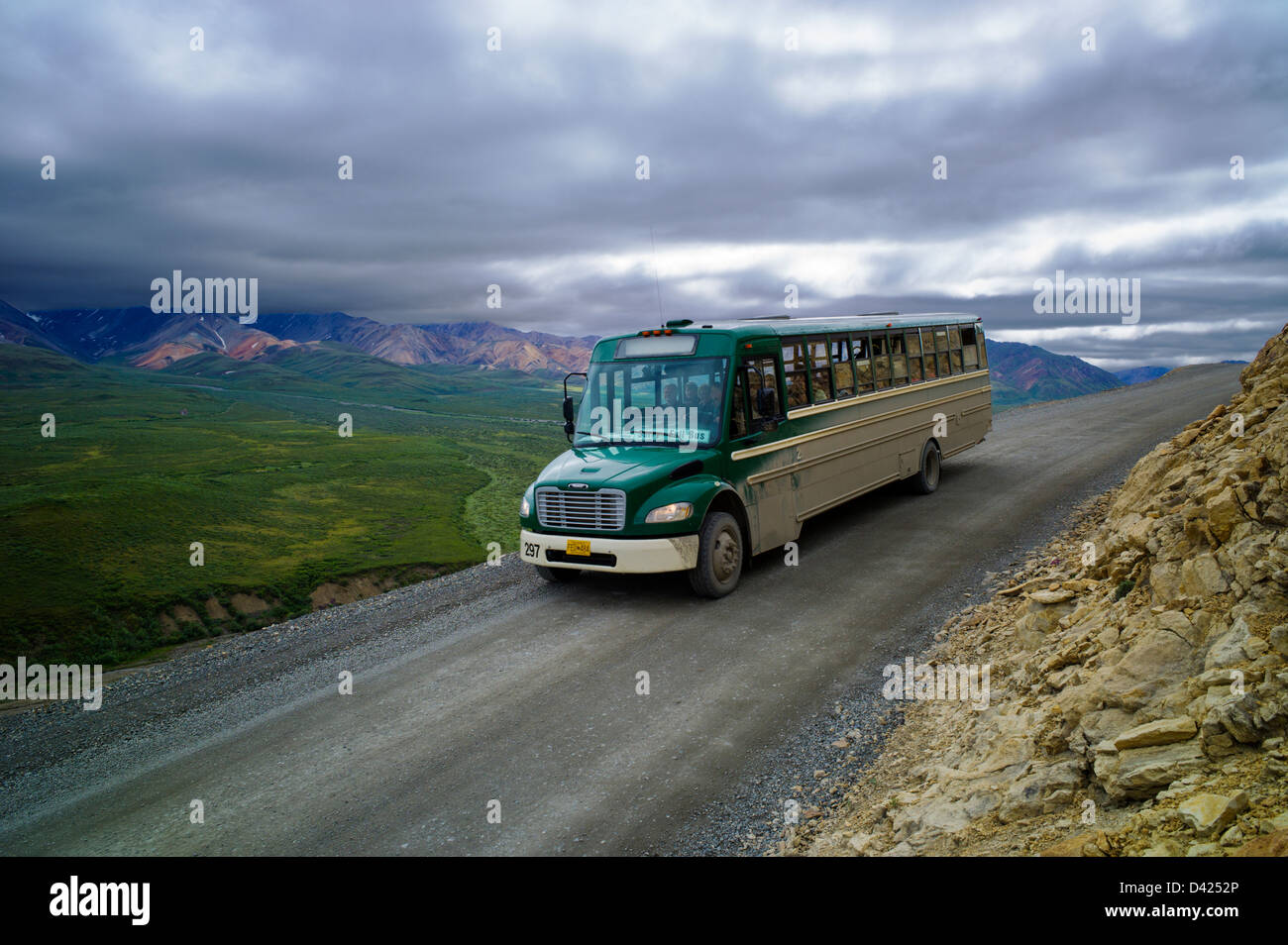 Buses shuttle visitors on the limited access Denali Park Road, Denali ...