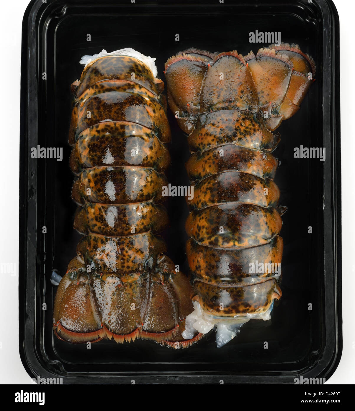 Raw Lobster Tails In A Tray Stock Photo - Alamy