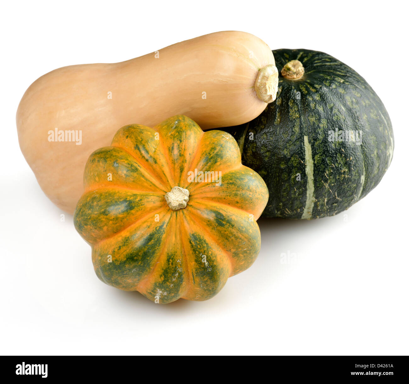 Squash Assortment On White Background Stock Photo - Alamy
