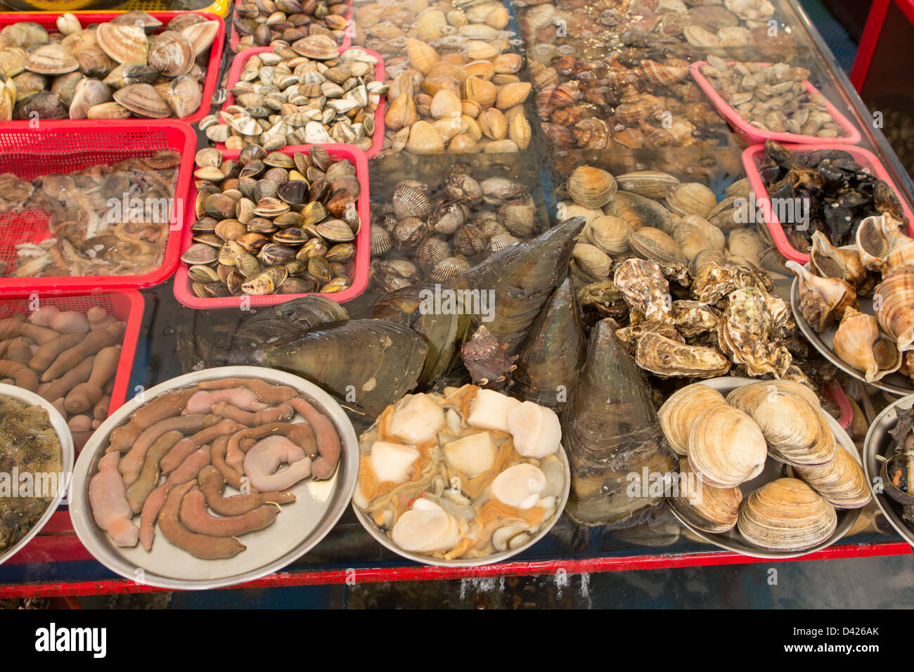 Live sea snails in the shells and gaebuls at Jagalchi Fish Market Stock ...