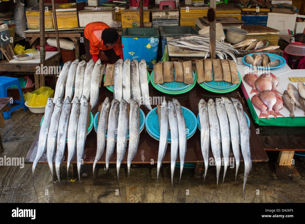 Fresh barracuda fish market hi-res stock photography and images - Alamy