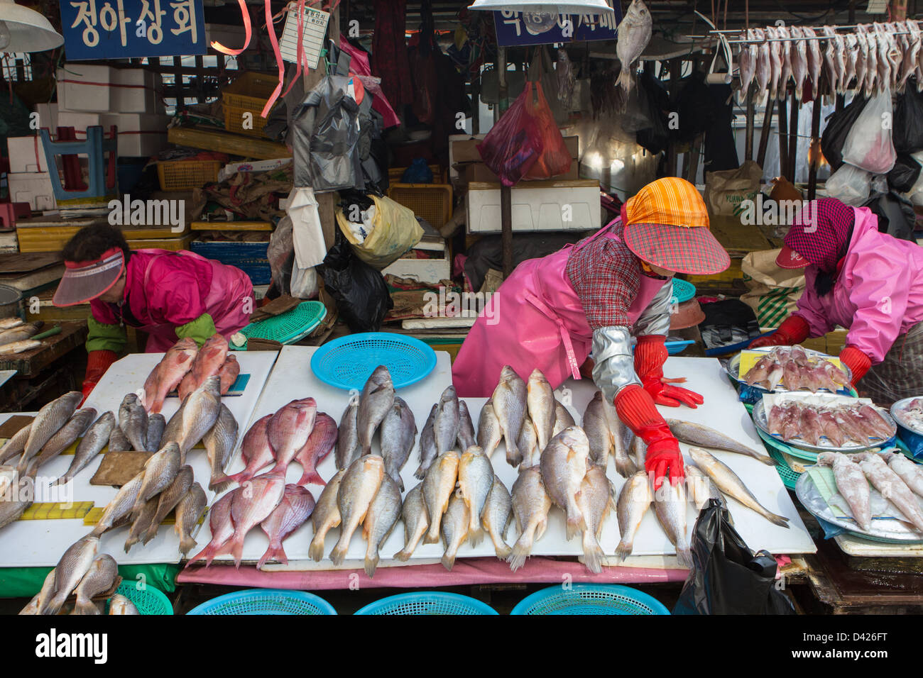 Fresh barracuda fish market hi-res stock photography and images - Alamy