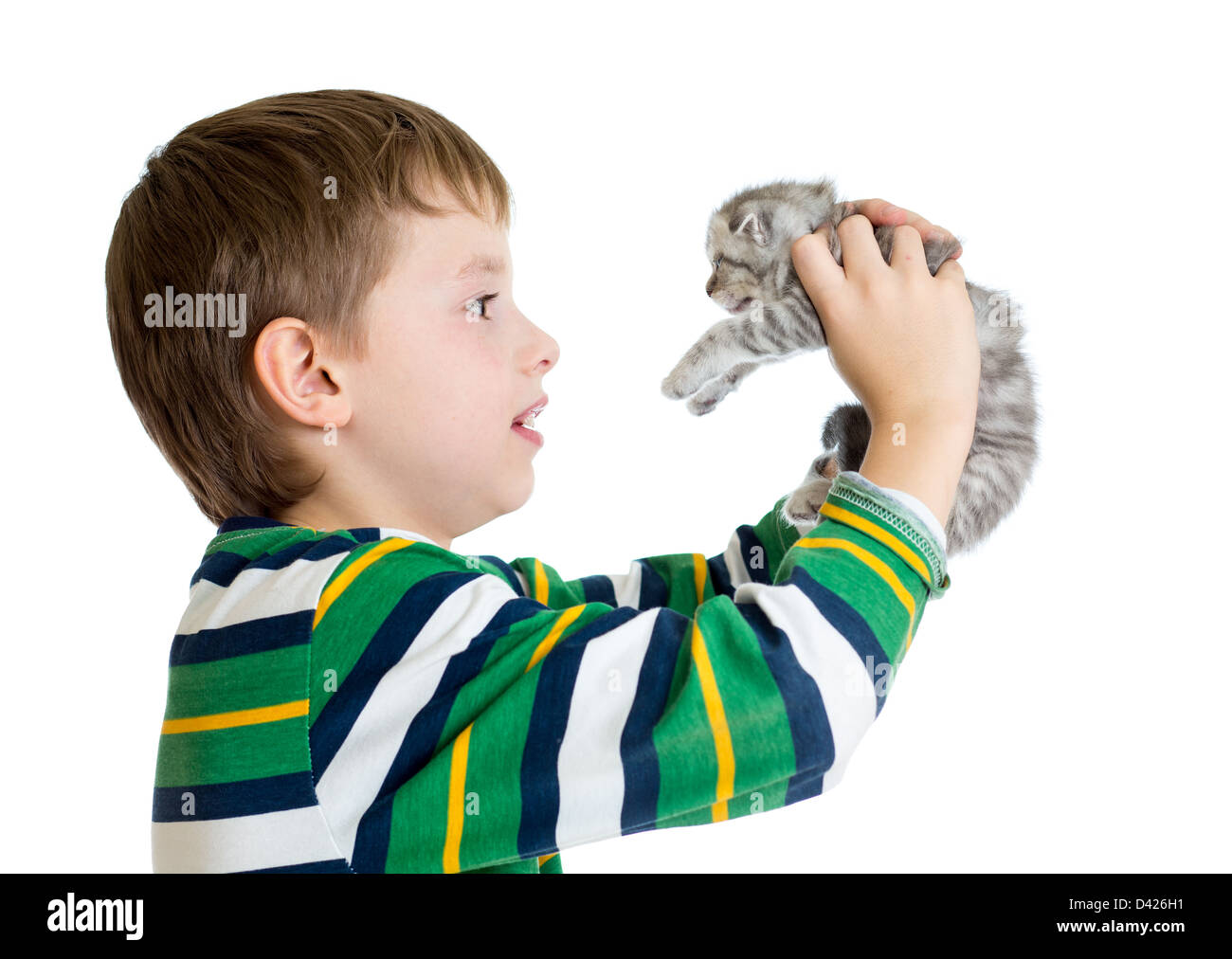 child boy holding cat kitten isolated on white background Stock Photo ...