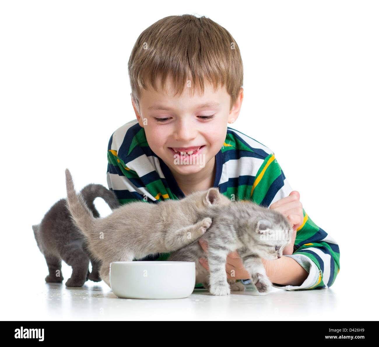 funny child boy feeding cats kittens Stock Photo - Alamy