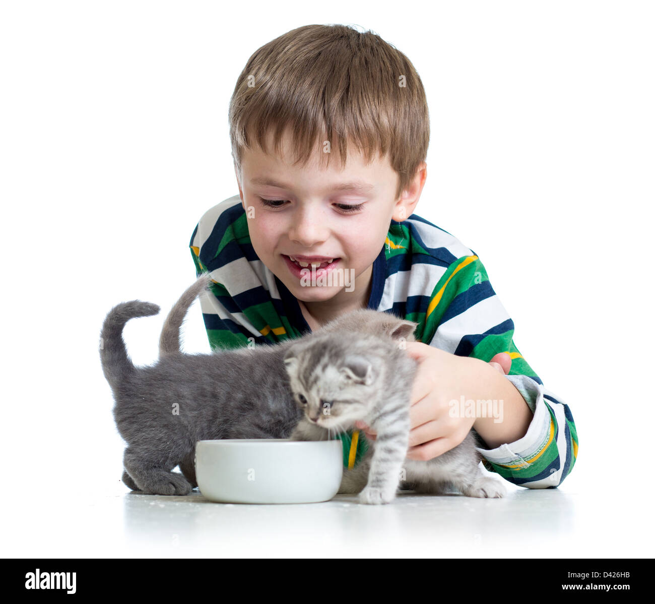 funny child boy feeding cats kittens Stock Photo - Alamy