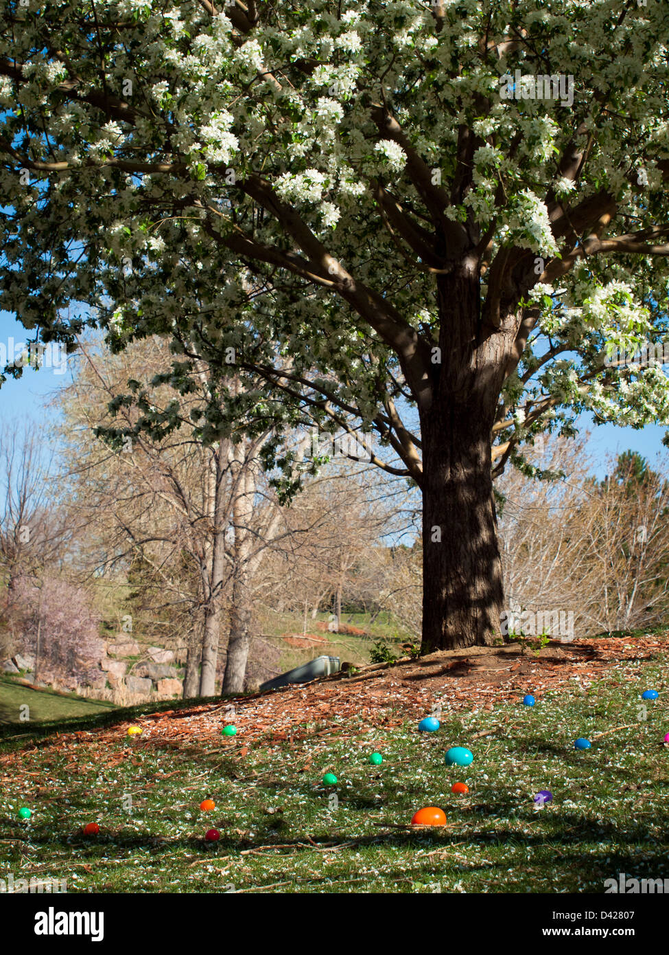 Easter egg hunt in urban park Stock Photo - Alamy