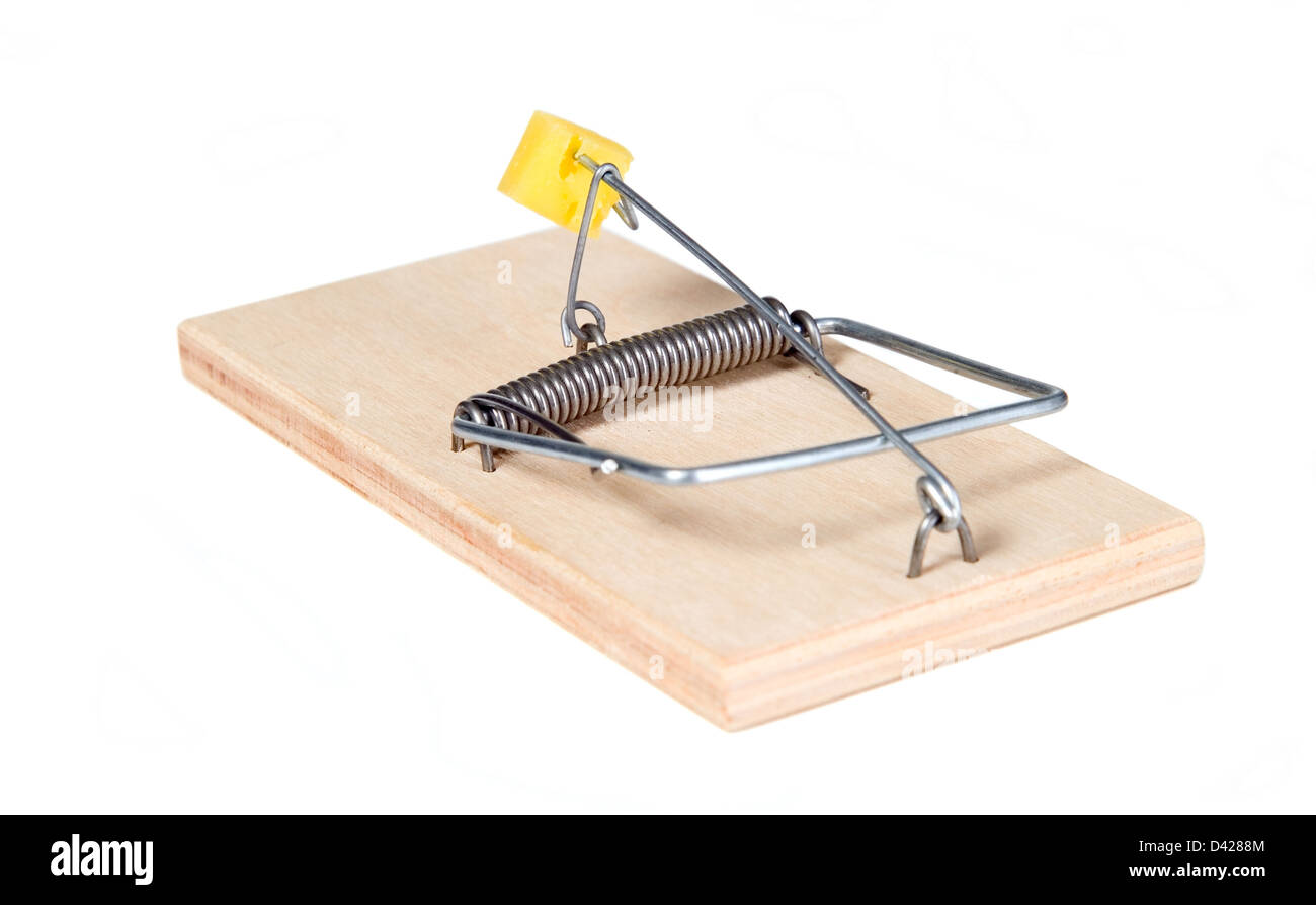 A mouse trap with cheese on it Stock Photo - Alamy