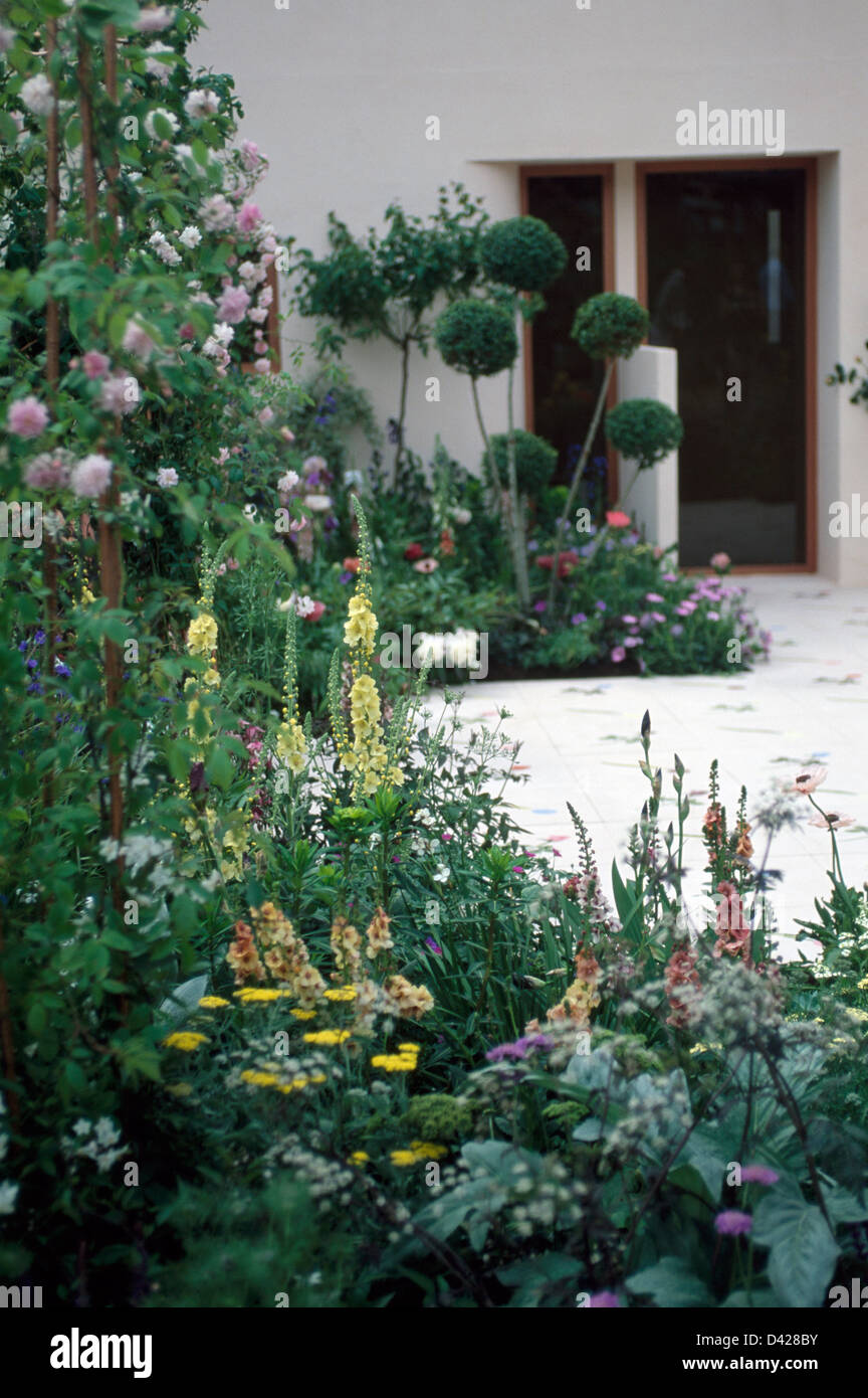 Yellow verbascum and achillea in summer garden border in front of ...