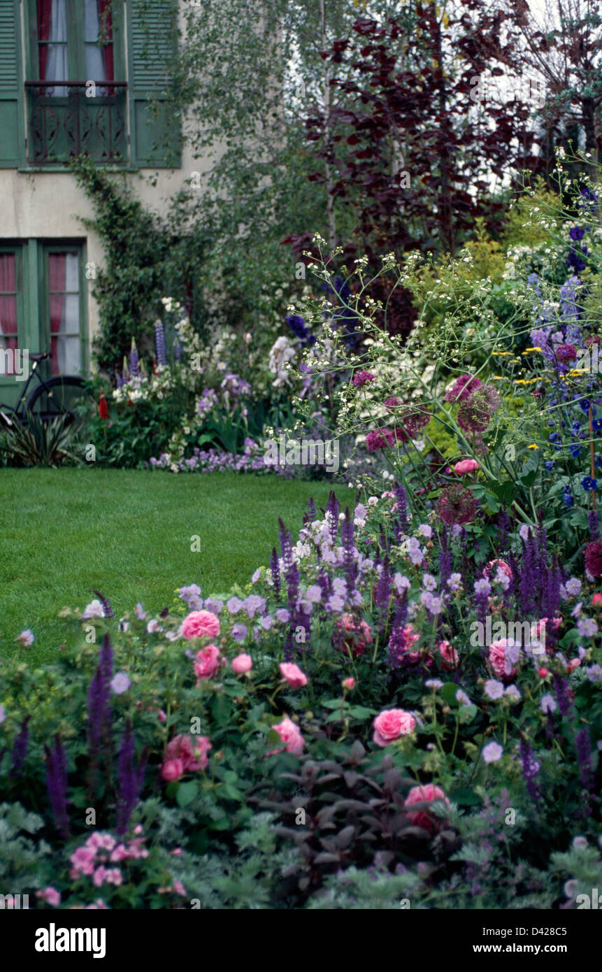 Pink roses and pale blue geraniums with blue veronica in summer border ...