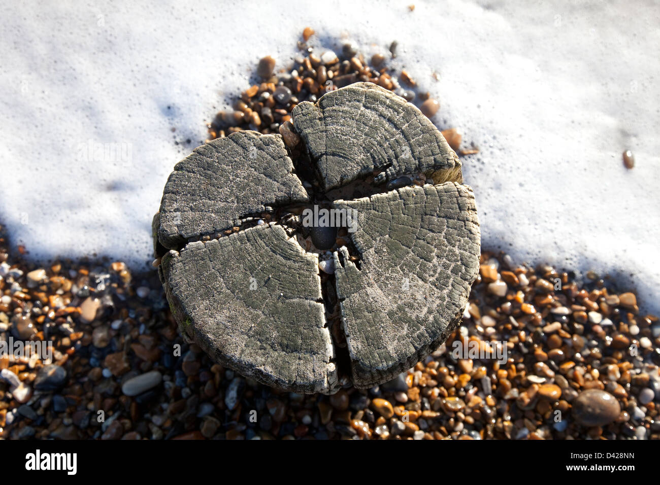 Oak wooden groynes hi-res stock photography and images - Alamy