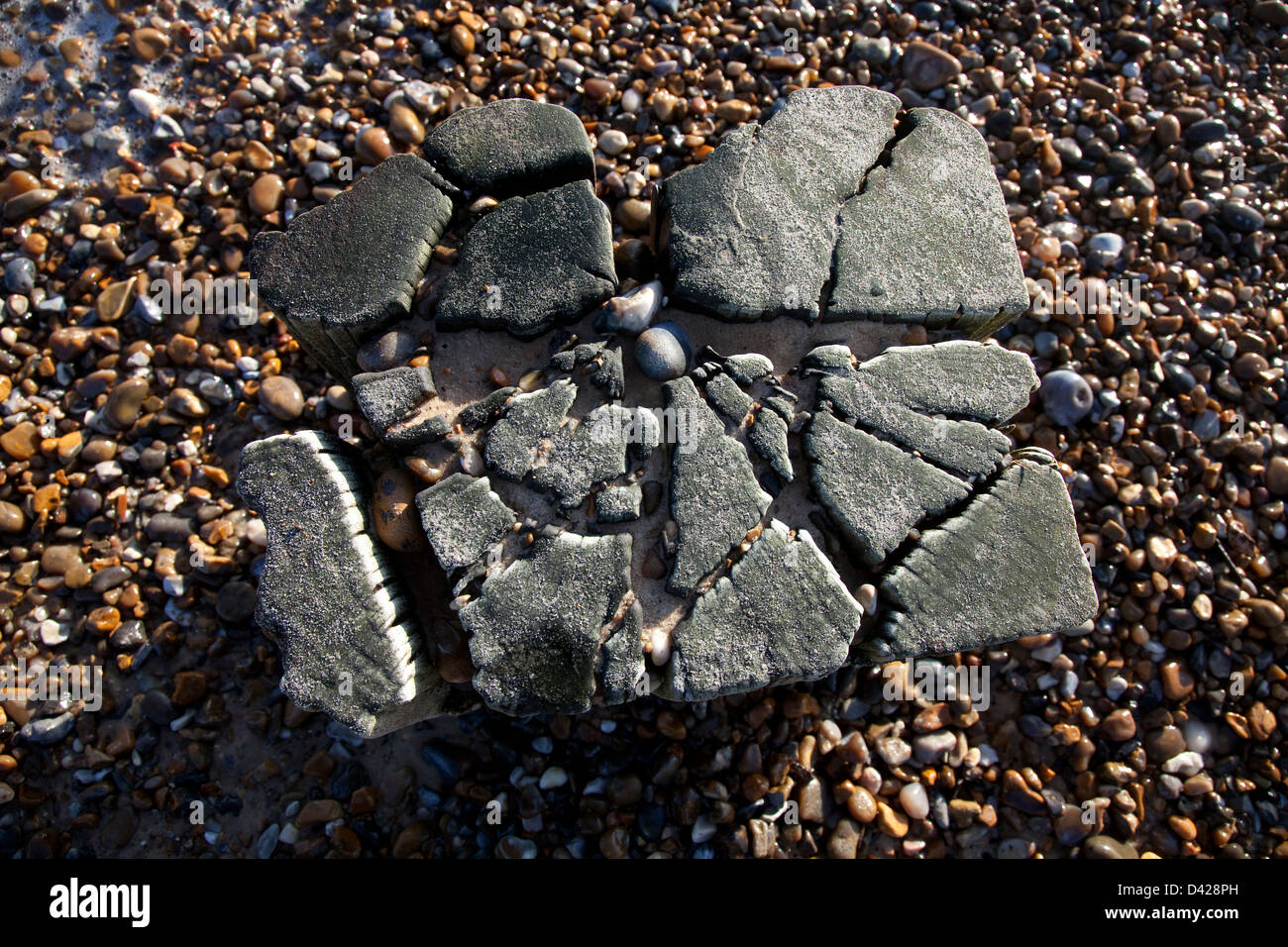 Oak wooden groynes hi-res stock photography and images - Alamy