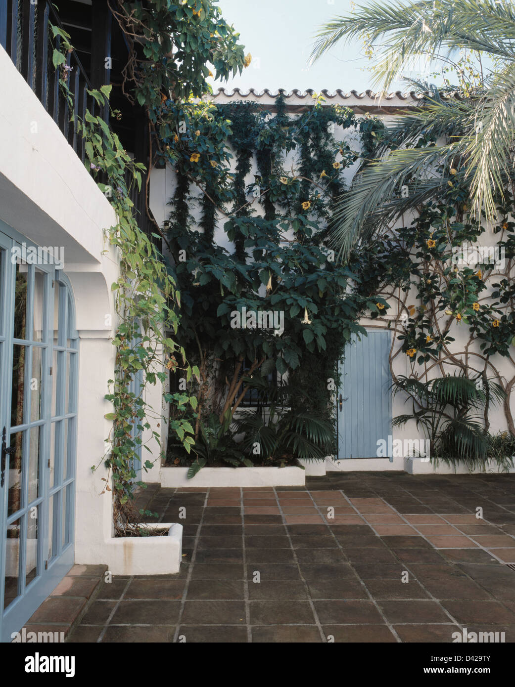 Lush courtyards hi-res stock photography and images - Alamy