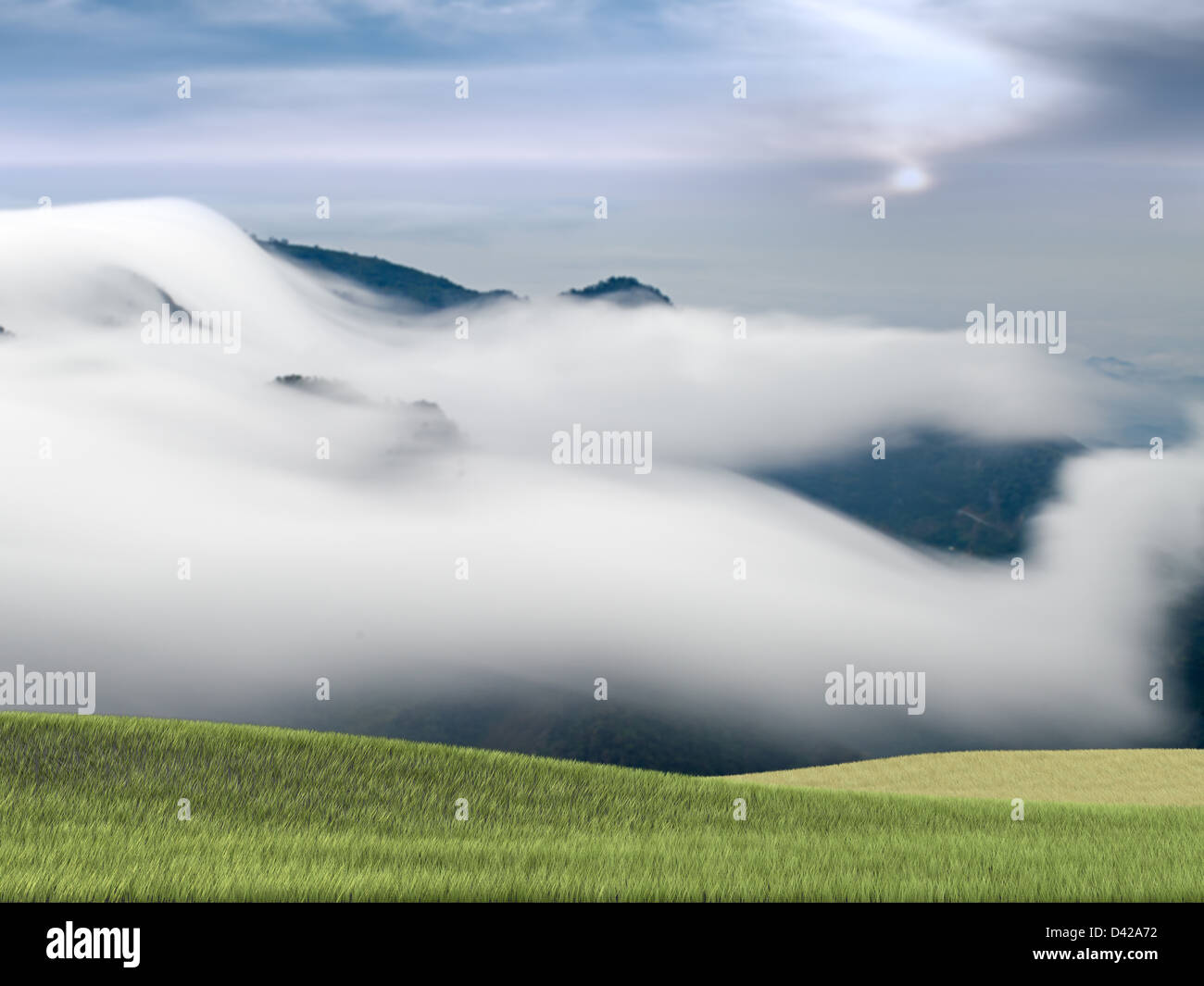 Nice green grass and background for adv or others purpose use Stock ...