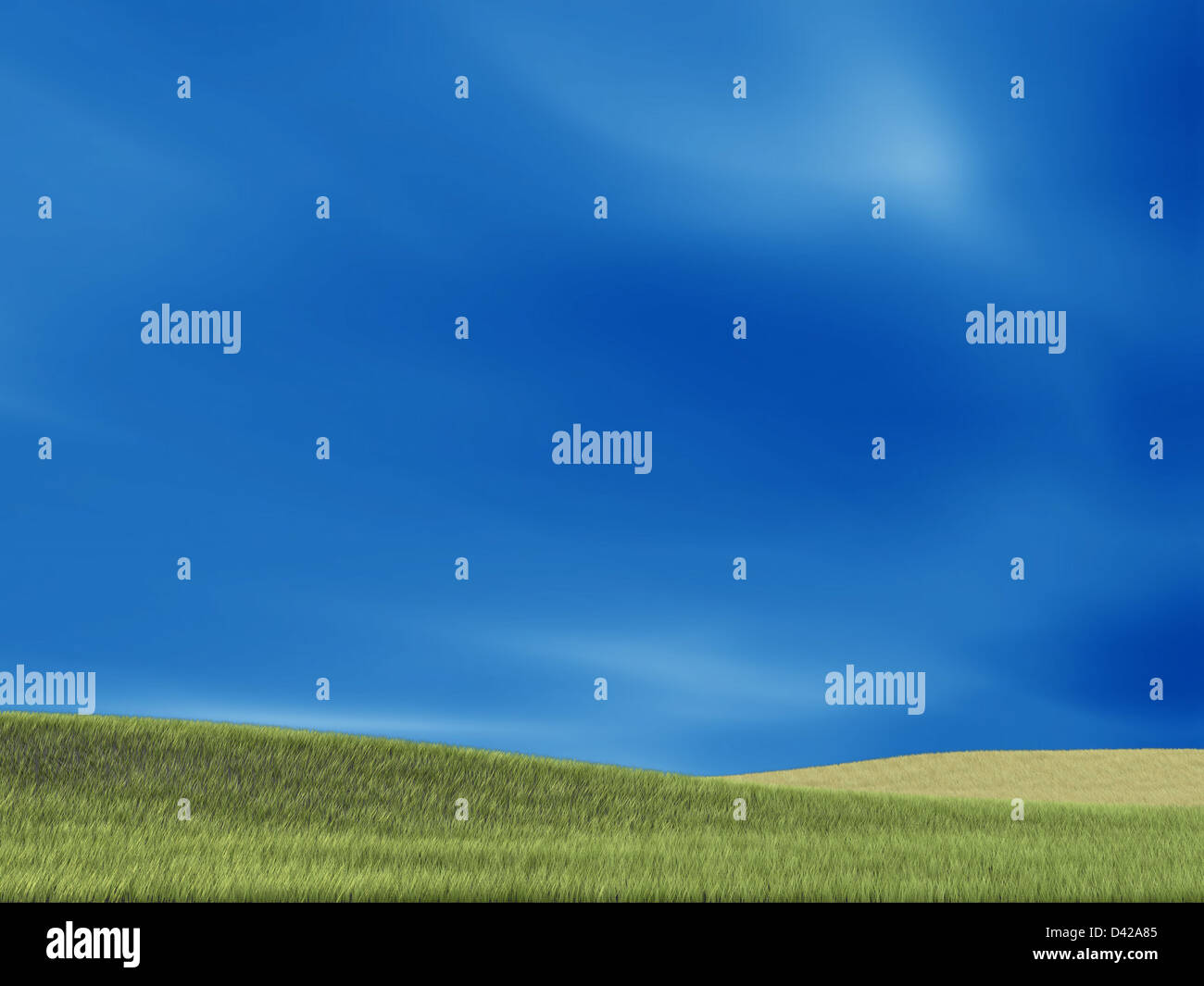 Nice green grass and background for adv or others purpose use Stock ...