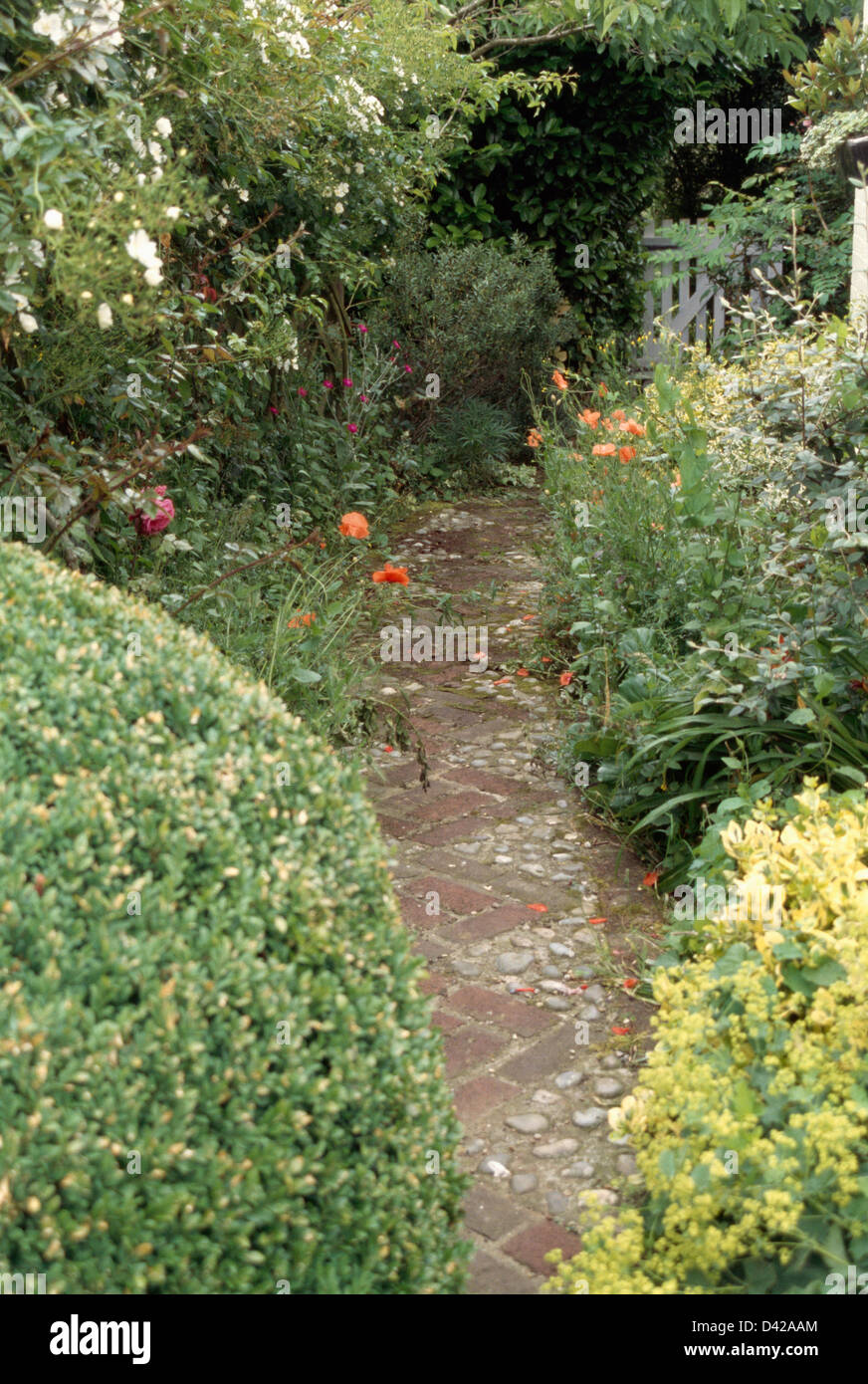 Narrow cobble+brick path through borders with clipped shrubs in cottage ...