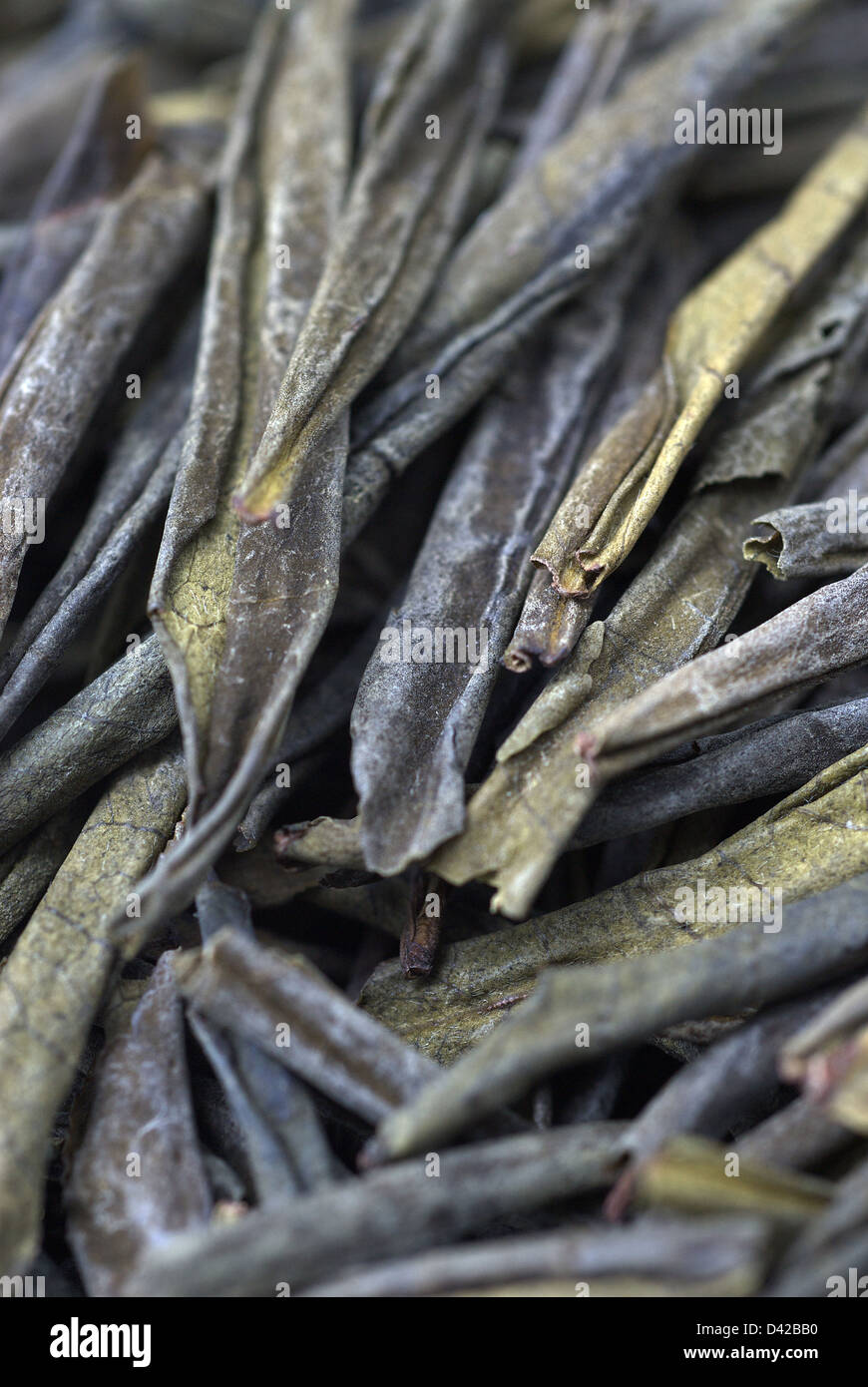 Berlin, Germany, Chinese, green tea Stock Photo - Alamy