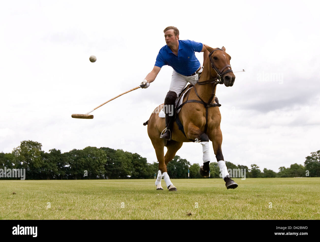 Polo player on horseback reaching for the ball Stock Photo - Alamy
