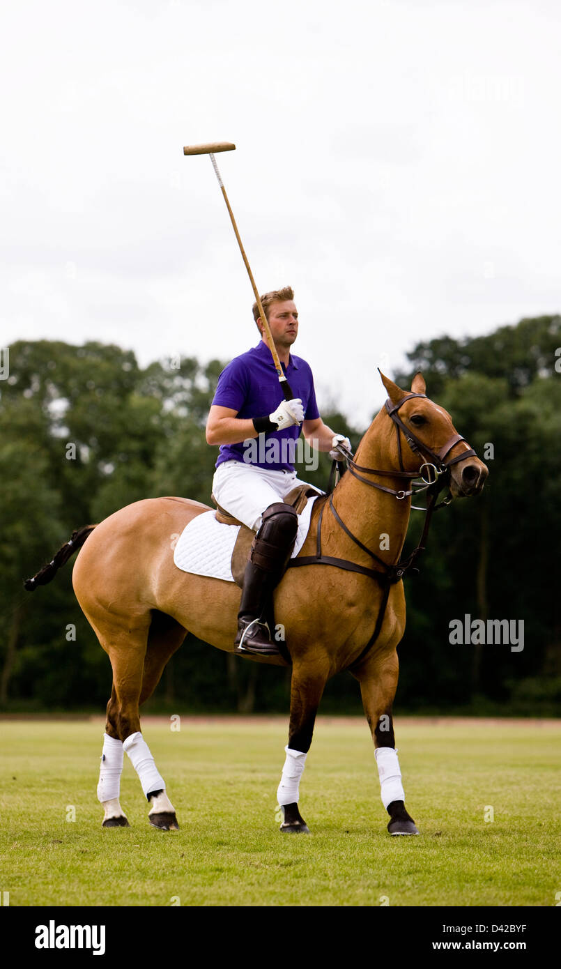 Polo mallet hi-res stock photography and images - Alamy