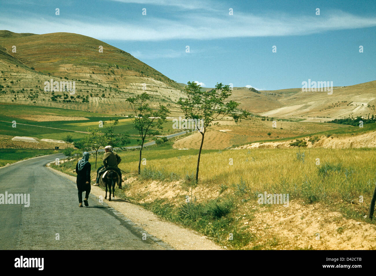 Man on a donkey and man walking along road through Beka Valley in ...