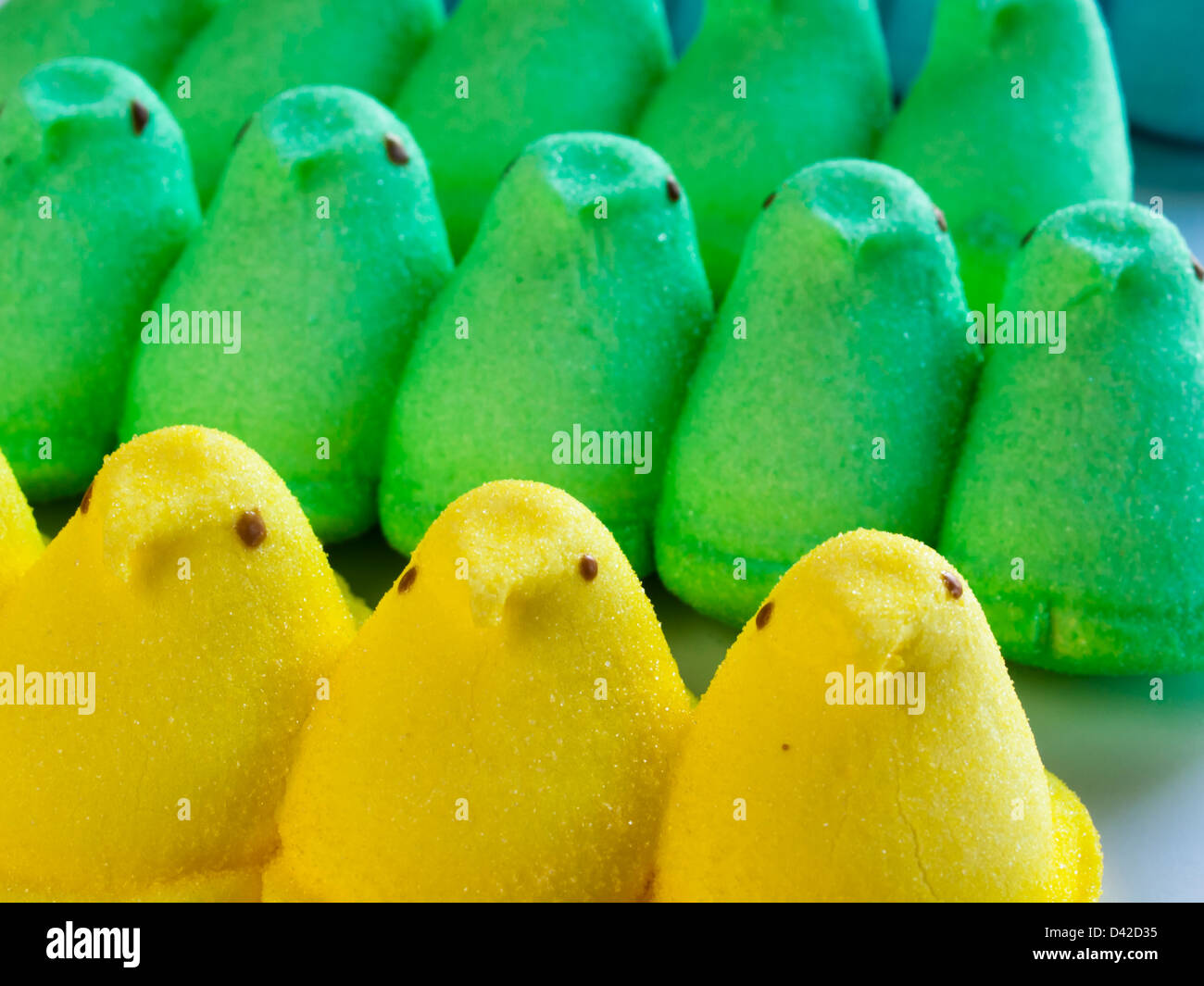 Chicks easter eggs in row hi-res stock photography and images - Alamy