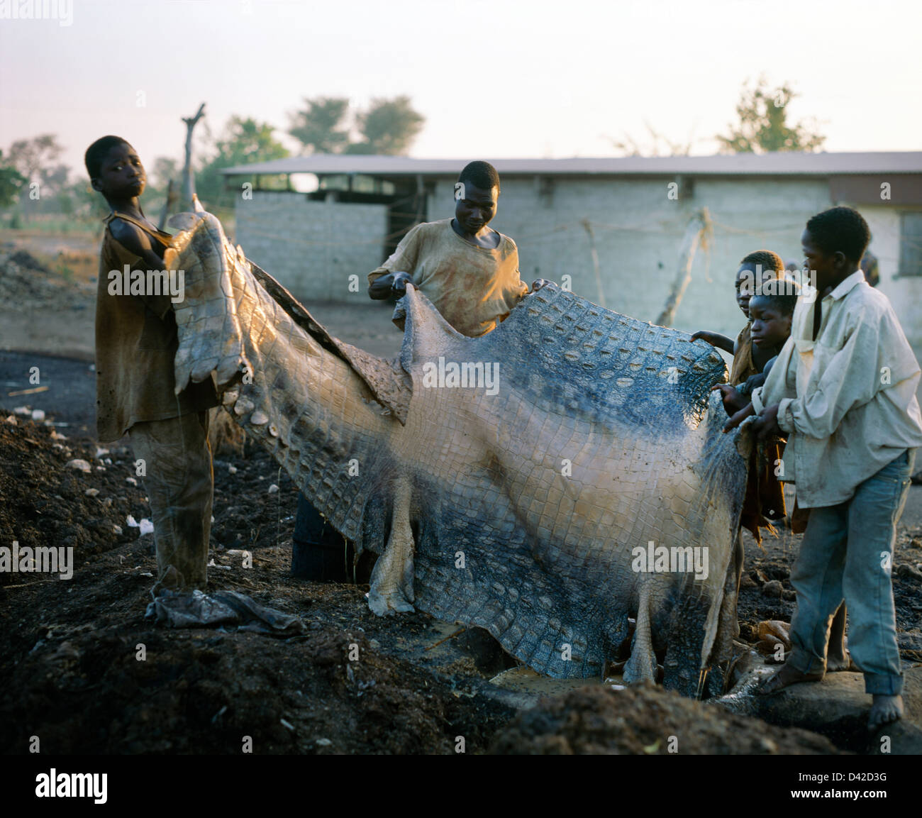 Maroua, Cameroon High Resolution Stock Photography and Images - Alamy