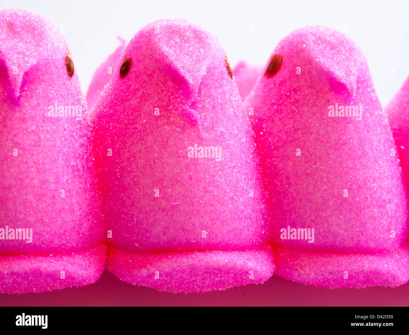 Easter marshmallow chicks in a row Stock Photo - Alamy