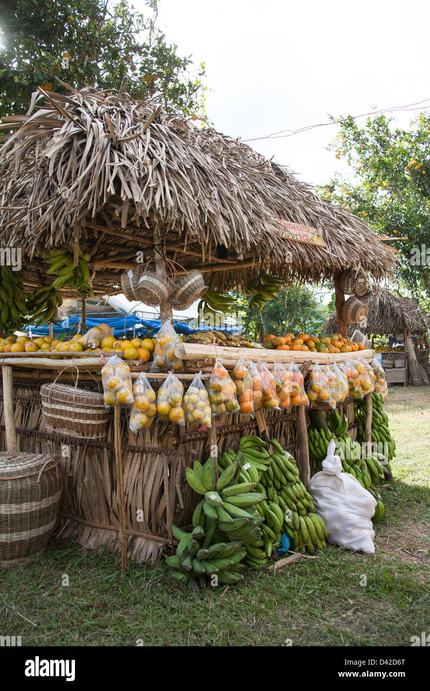Plantains for sale hi-res stock photography and images - Alamy