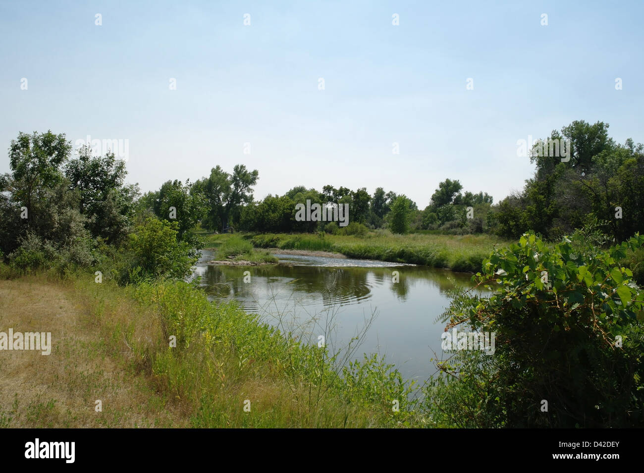 Blue sky downstream view green banks, trees reflections, calm water ...