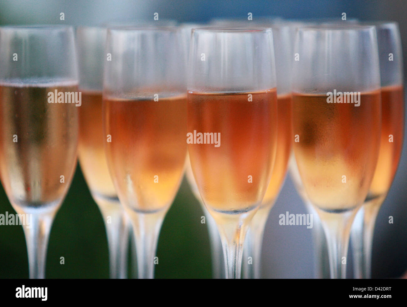 Hamburg, Germany, glasses with champagne Stock Photo - Alamy