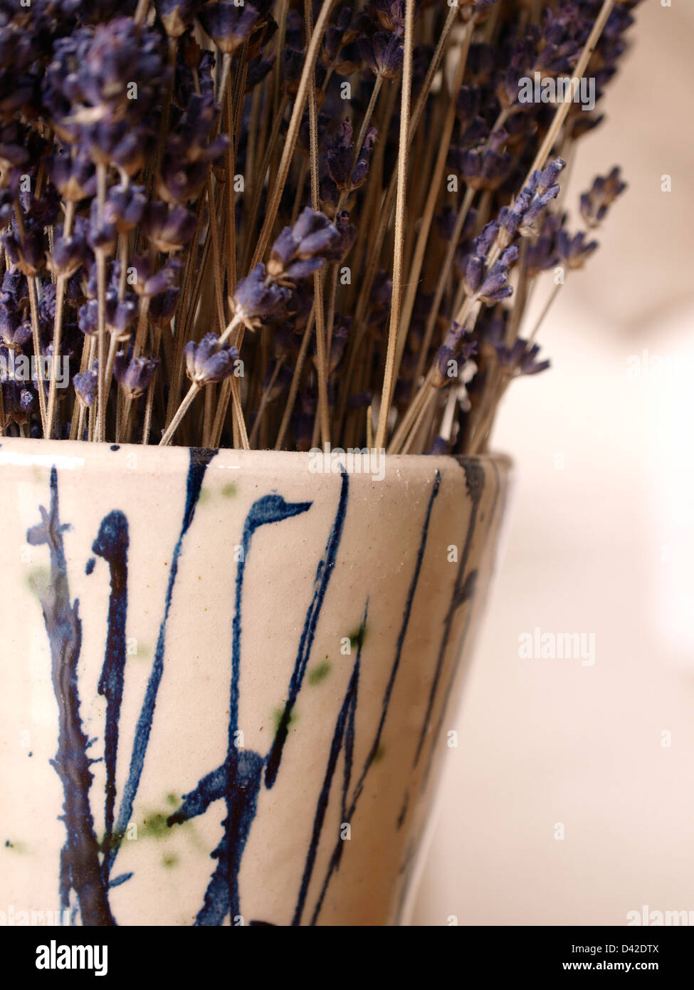 stalks of lavender in a vase Stock Photo - Alamy