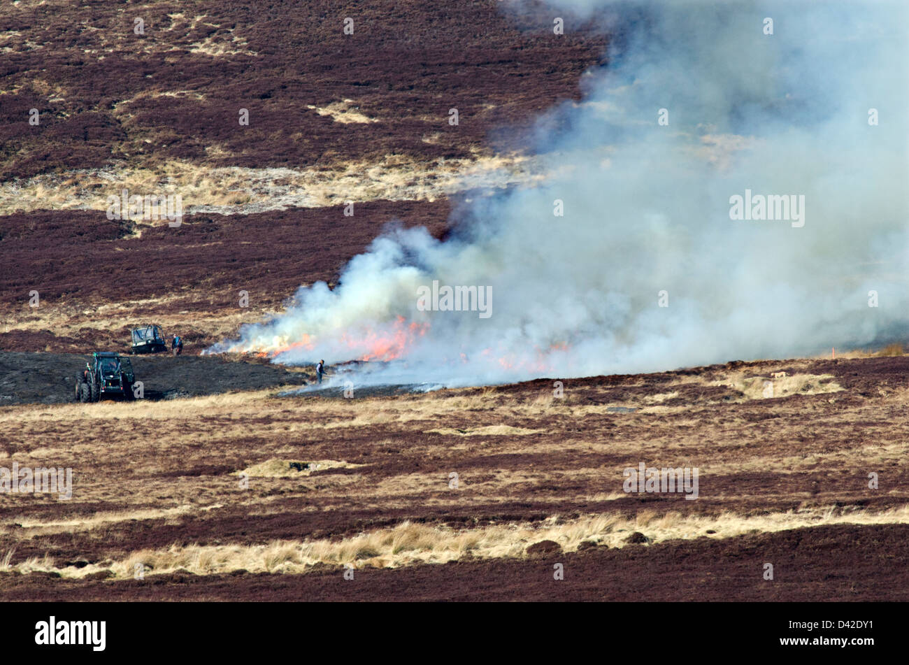 heather burning;lochindorb;estate;cairngorms national park;highlands ...