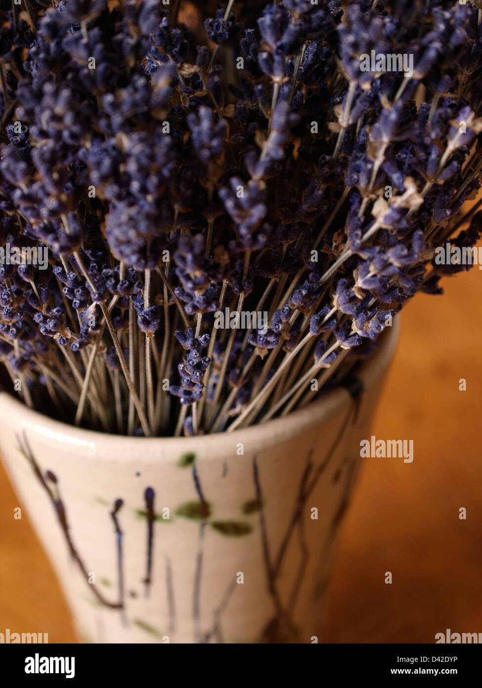 stalks of lavender in a vase Stock Photo - Alamy