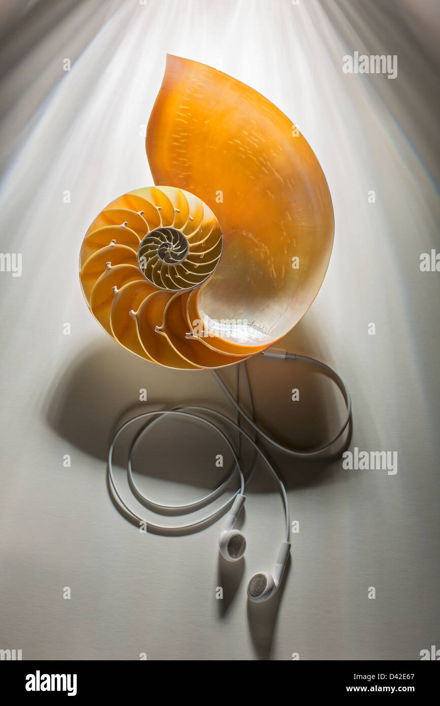 nautilus sea shell with ear buds Stock Photo - Alamy