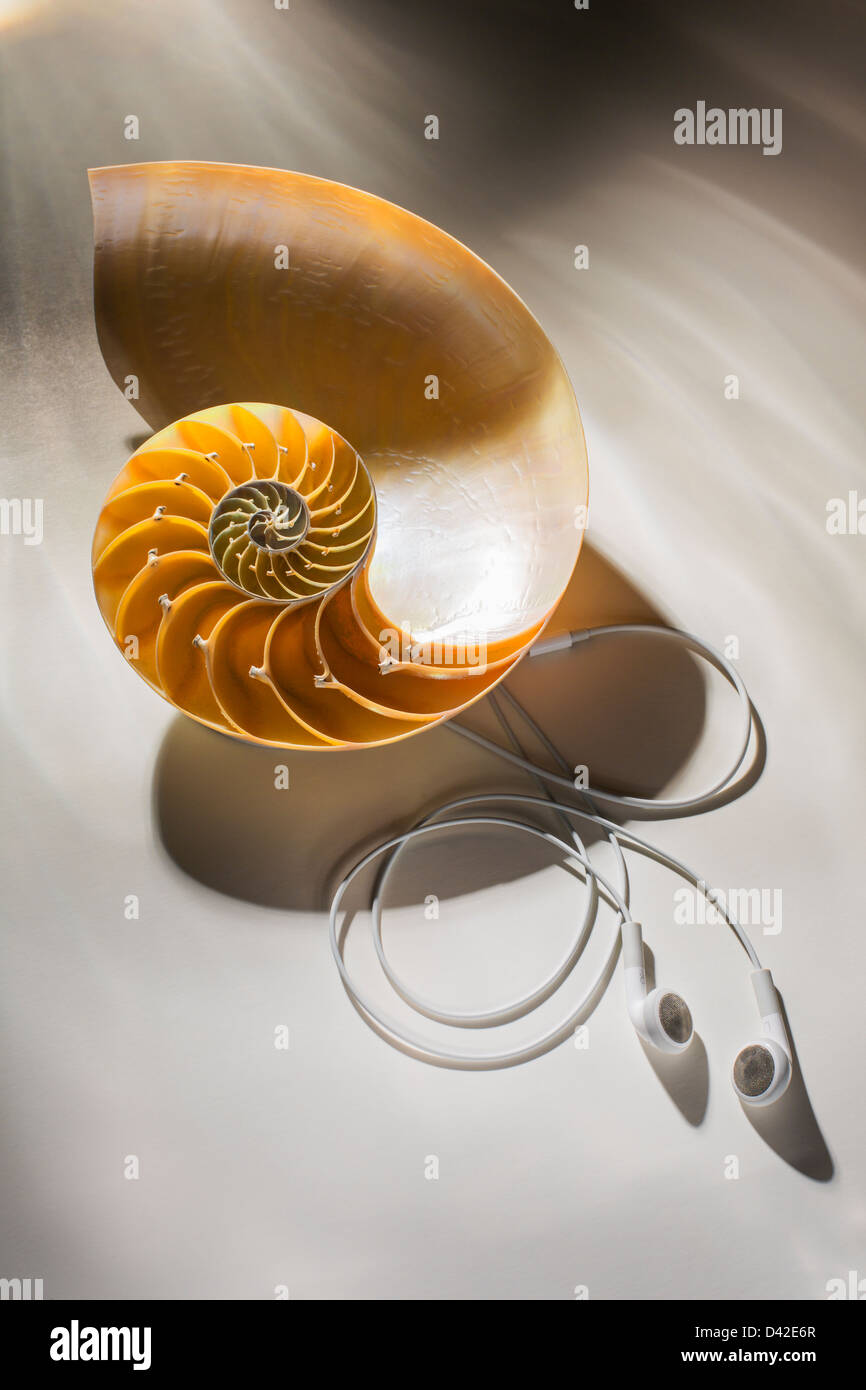 nautilus sea shell with ear buds Stock Photo - Alamy