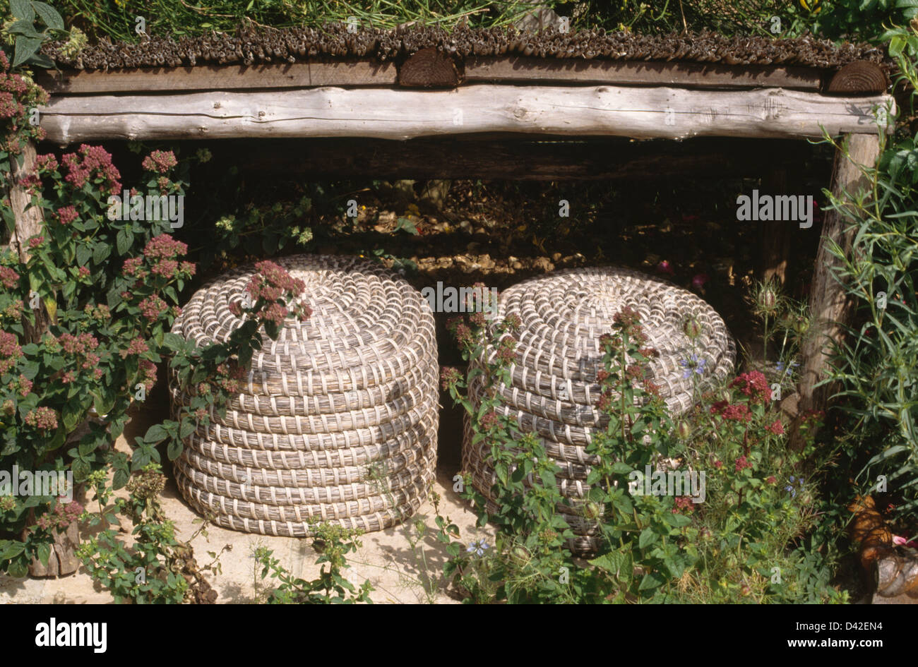 Woven rush pots in rustic shelter Stock Photo - Alamy