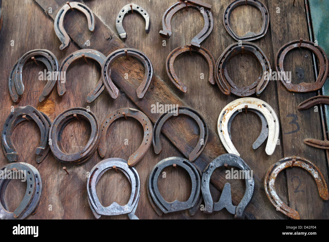 Types Of Horseshoes And Their Uses | informacionpublica.svet.gob.gt