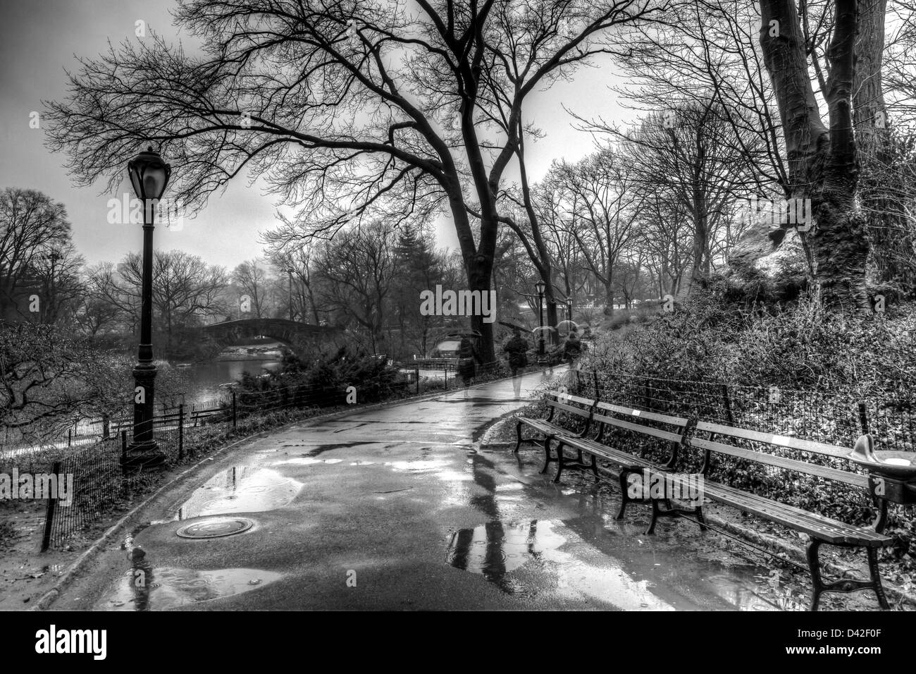 Central Park, New York City om winter after rain storm Stock Photo - Alamy