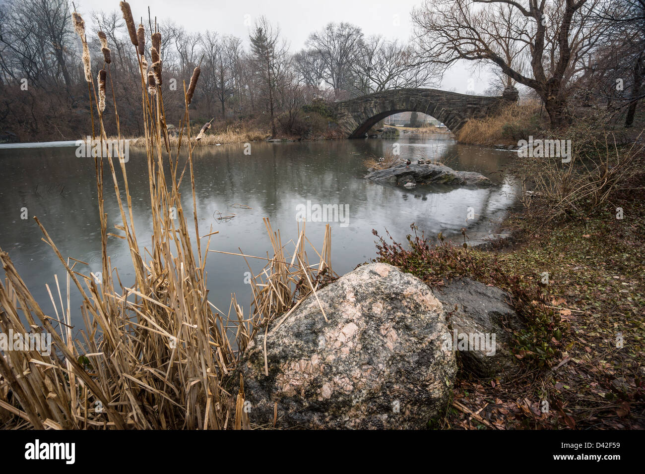 Central Park, New York City Gapstow bridge after rain storm Stock Photo ...