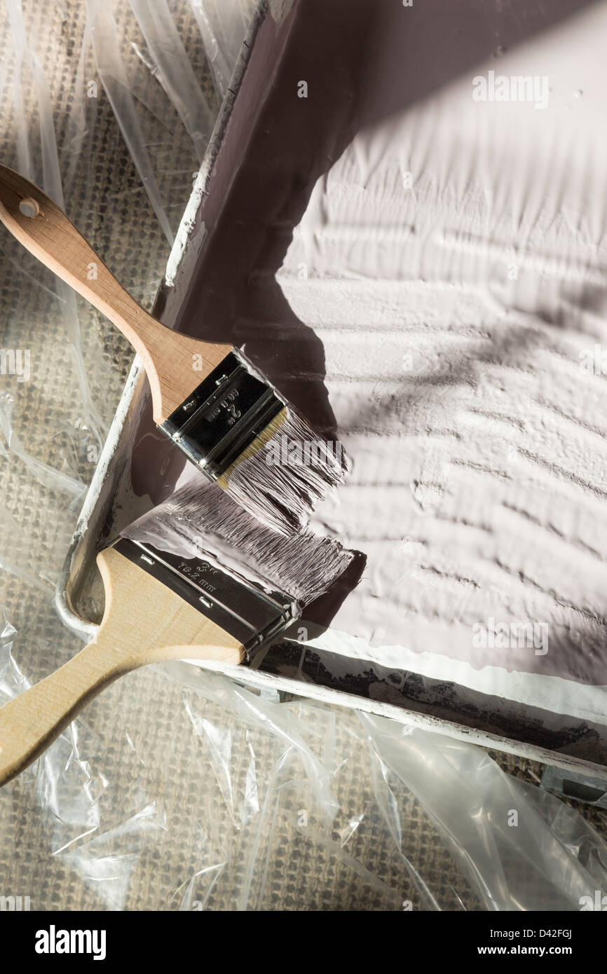 Close up, Roller Pan, Paint Brushes and Roller, Home Improvement, USA ...
