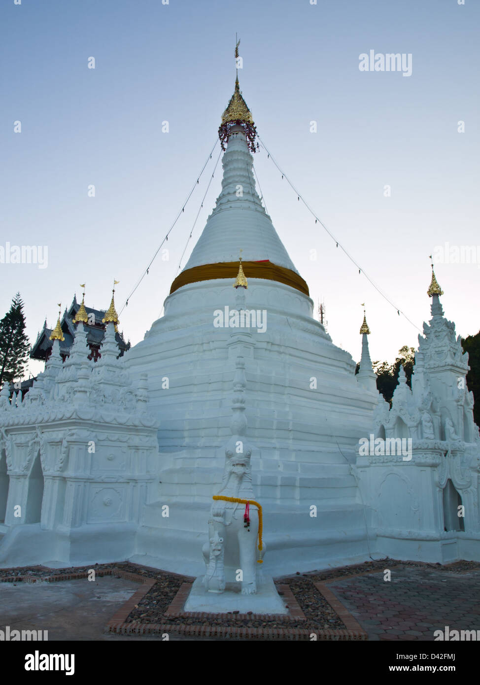 Mu tai hi-res stock photography and images - Alamy