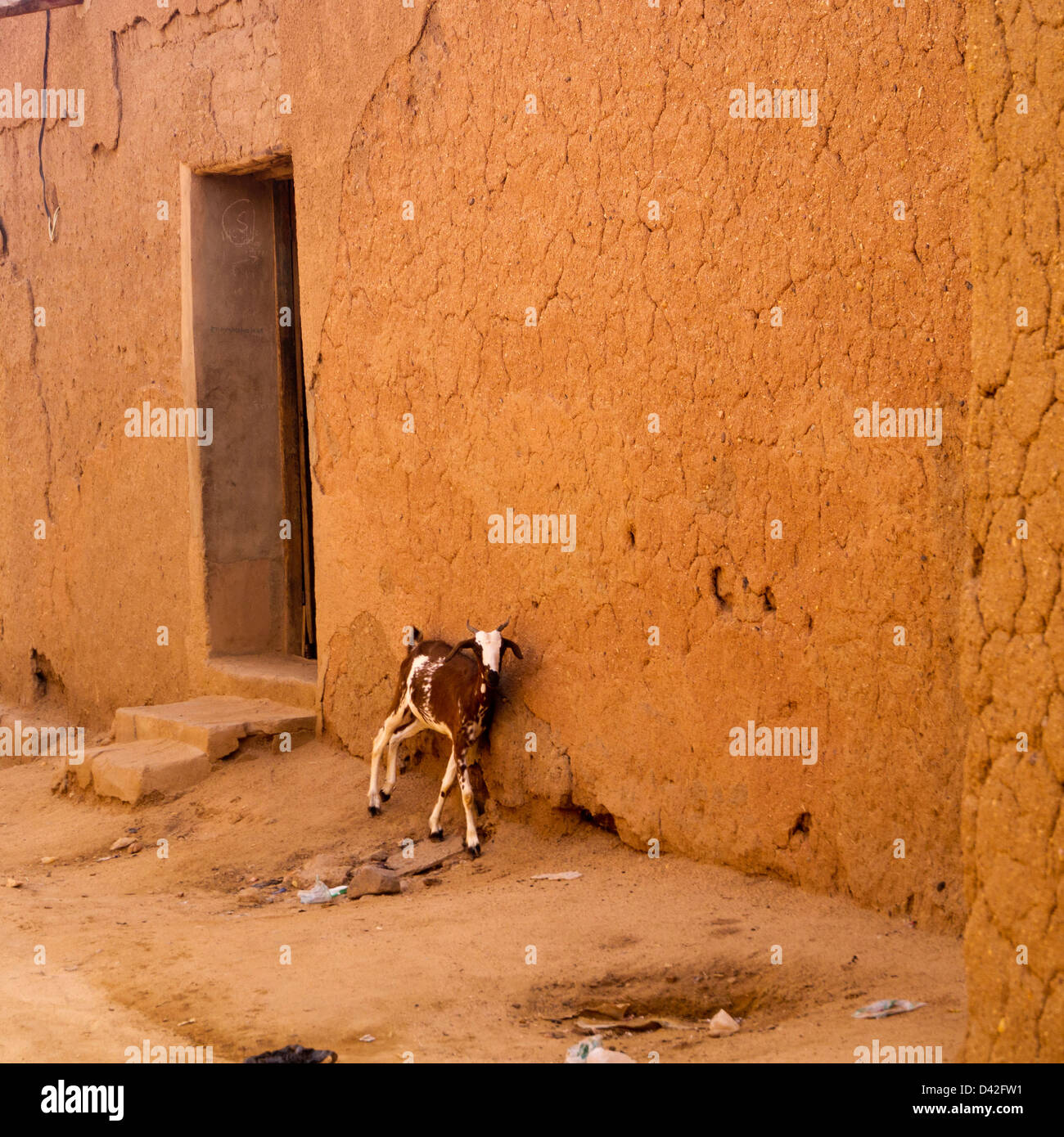 Traditional house in niger hi-res stock photography and images - Alamy