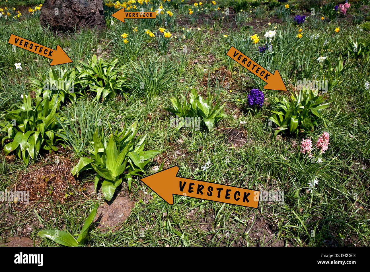 Easter Bunny Guide Stock Photo - Alamy