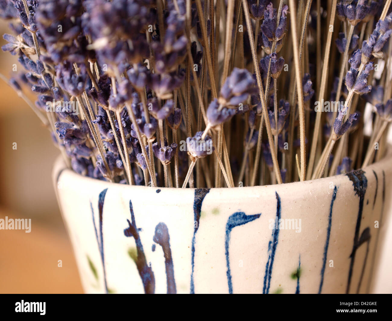 stalks of lavender in a vase Stock Photo - Alamy
