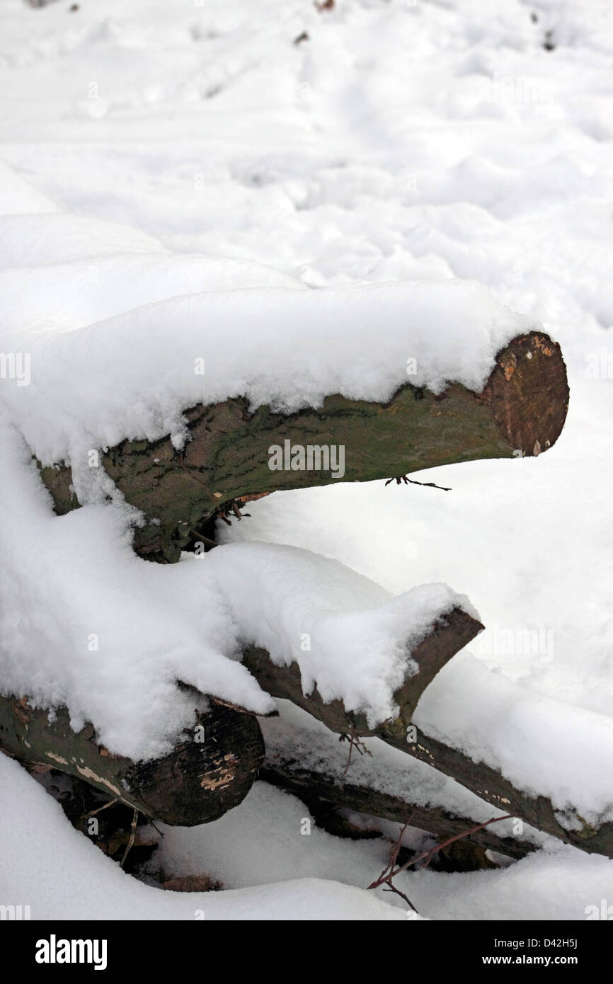 Yule log wood uk hi-res stock photography and images - Alamy